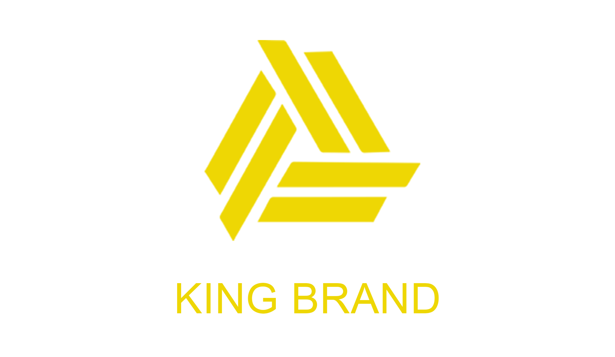 Giới thiệu về King Brand - Viet Nam Digital Marketing Agency
